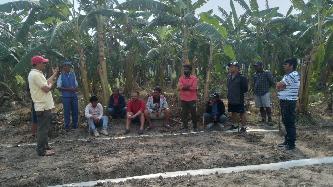 Mitigating soilborne diseases to improve smallholder farmer livelihoods and food security in ...