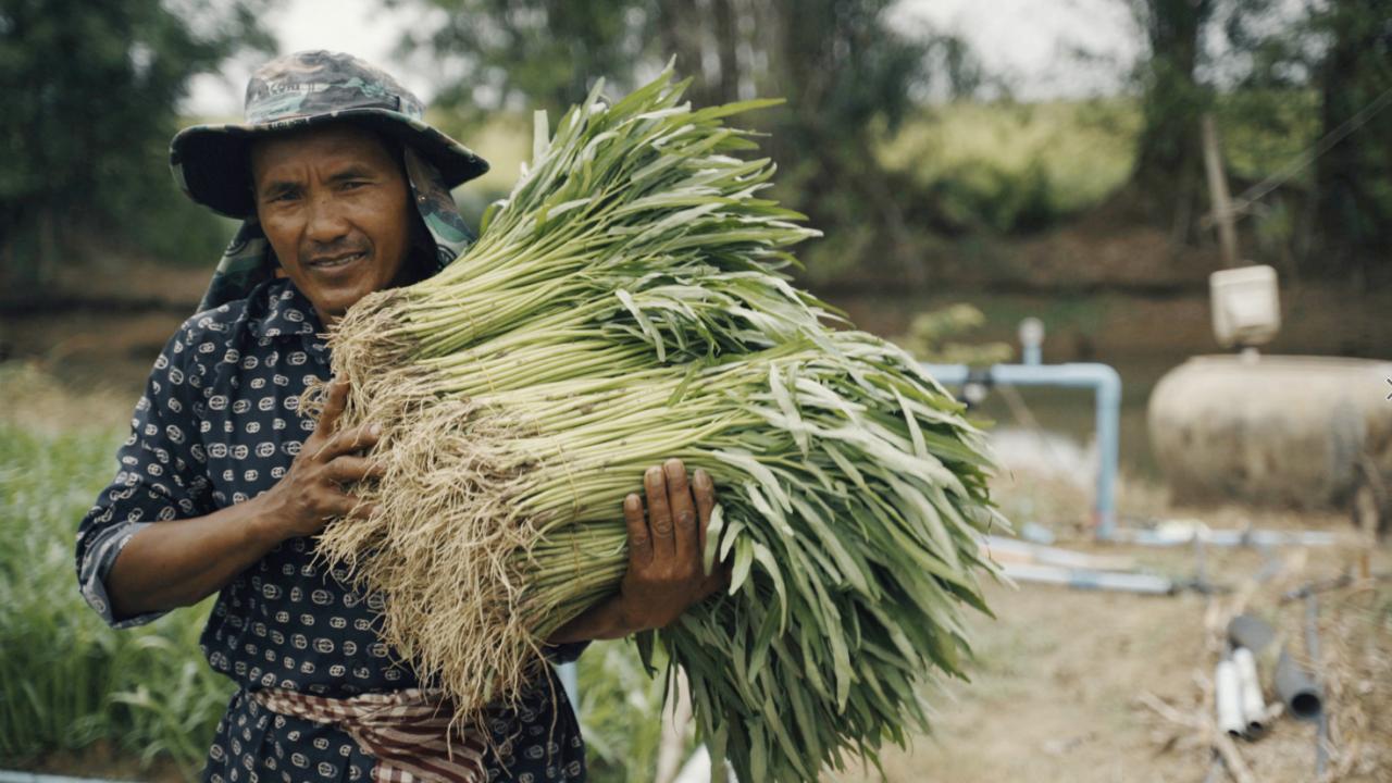 Agricultural innovations help Cambodian farmers thrive | Feed the ...
